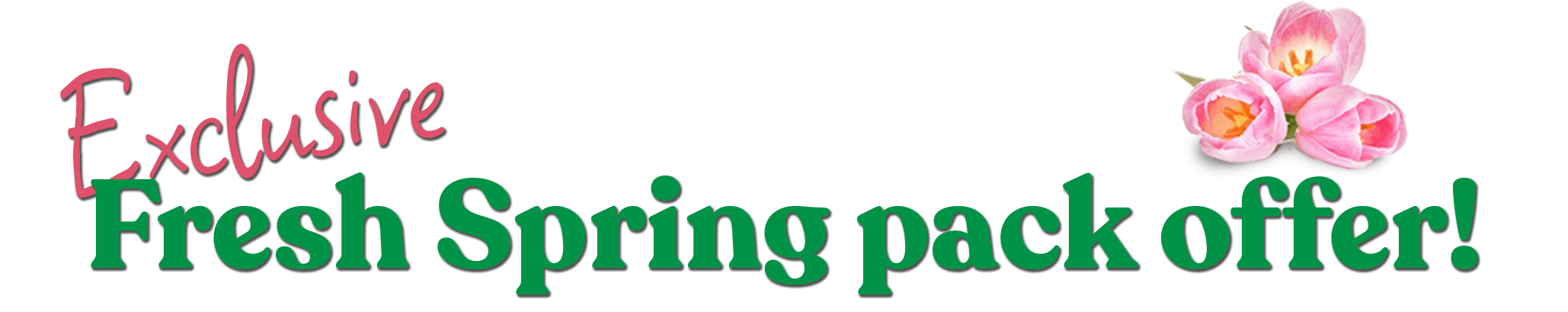 Fresh Spring Packs at Oakhouse Foods